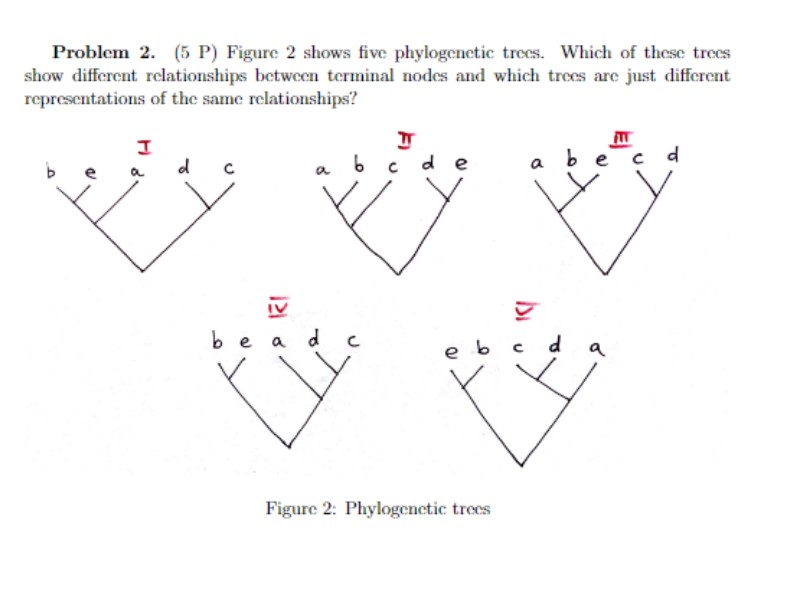 Solved Problem 2.Figure 2 ﻿shows five phylogenetic trees. | Chegg.com