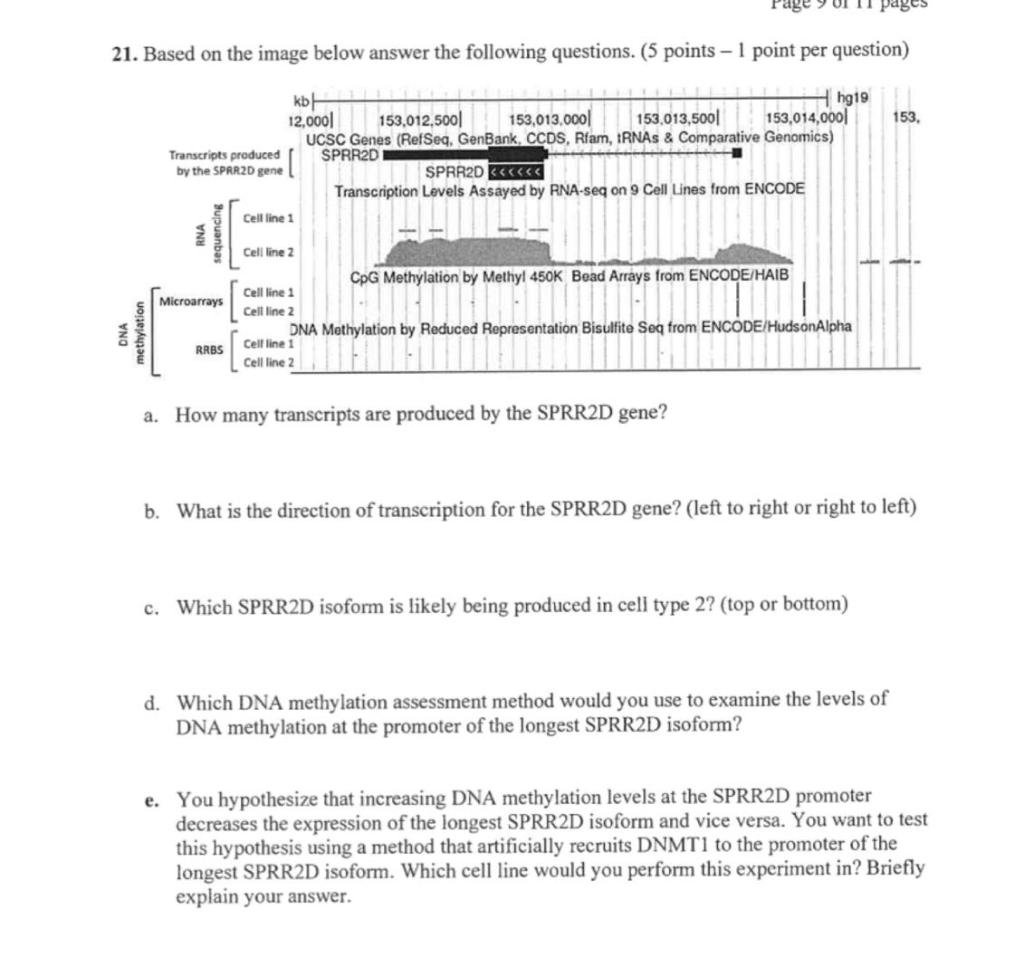 Solved Student name: Student number: Page 8 of 11 pages 19. | Chegg.com