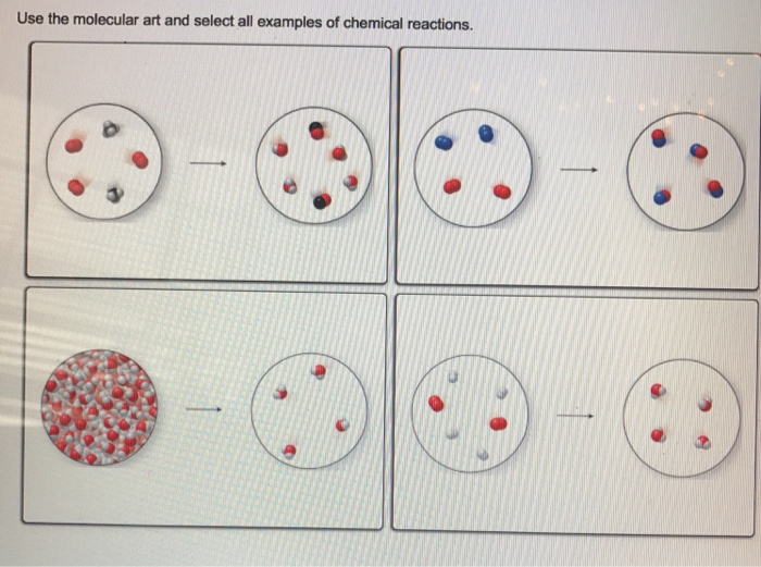 Solved Use the molecular art and select all examples of | Chegg.com Solved Use the molecular art and select all examples of | Chegg.com