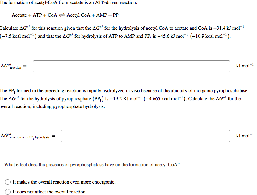 Solved The formation of acetyl-CoA from acetate is an | Chegg.com