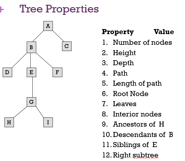 Solved Tree Properties Property Value 1. Number of nodes C В | Chegg.com