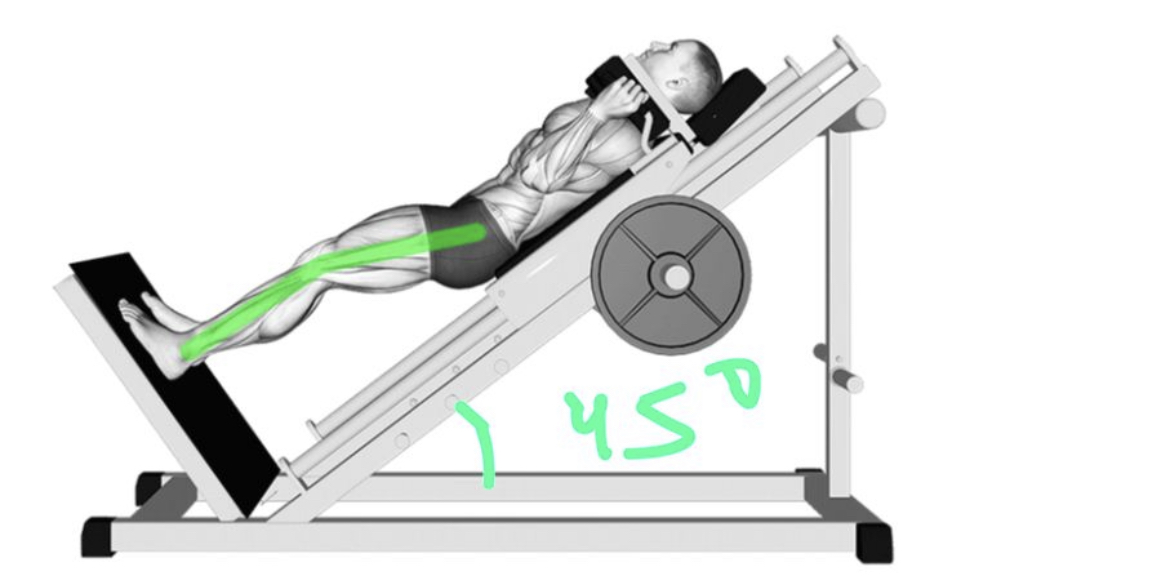 Solved Draw Free Body Diagram for this hack squat machine | Chegg.com