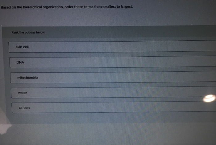 Solved Based on the hierarchical organization, order these | Chegg.com