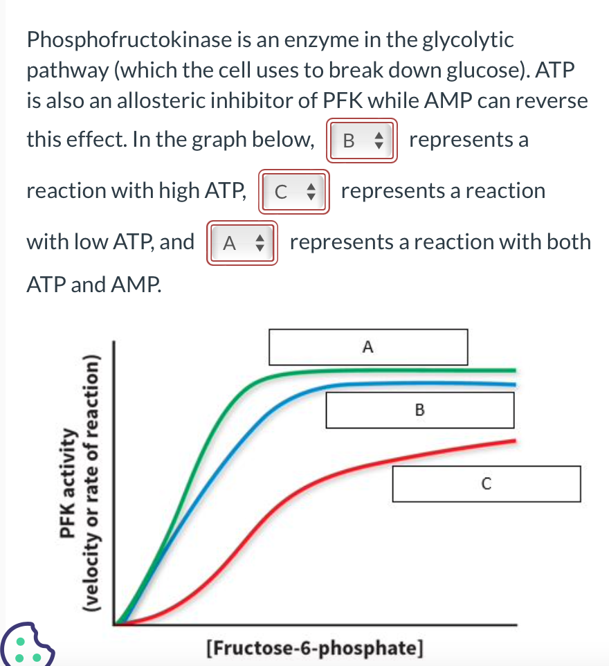 Solved Phosphofructokinase is an enzyme in the glycolytic | Chegg.com
