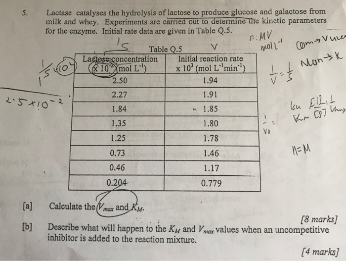 Solved 5. Lactase catalyses the hydrolysis of lactose to | Chegg.com Solved 5. Lactase catalyses the hydrolysis of lactose to | Chegg.com