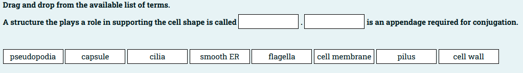 Solved Drag and drop from the available list of terms. A | Chegg.com