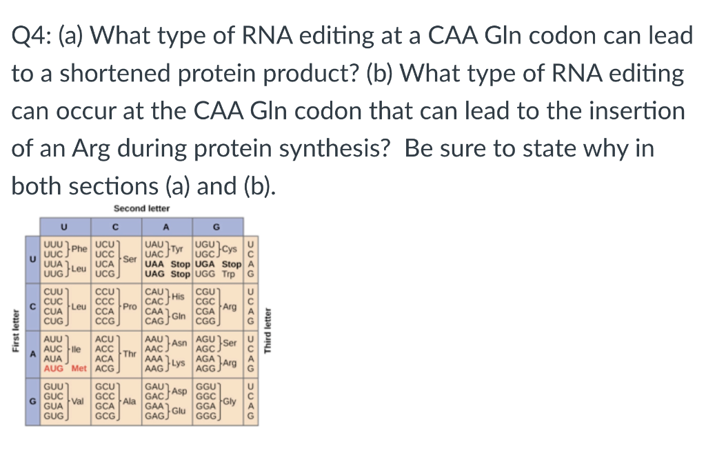 Solved Q4: (a) What type of RNA editing at a CAA Gin codon | Chegg.com