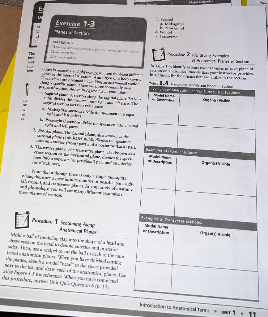 Solved Exercise 1-3 1. Sagittal a. Midsagittal b. | Chegg.com