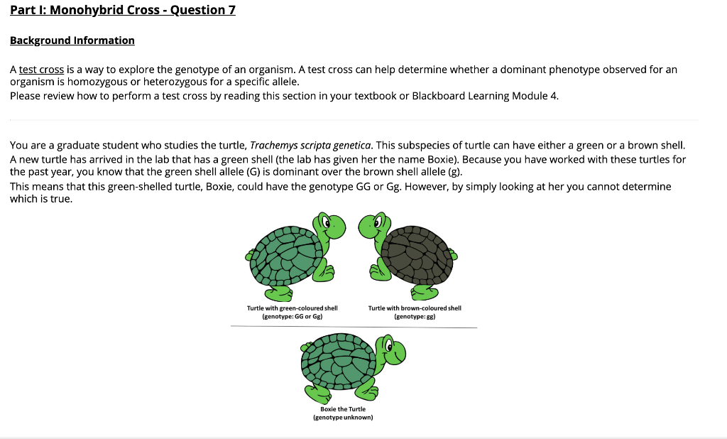Solved Part 1: Monohybrid Cross - Question 7 Background | Chegg.com