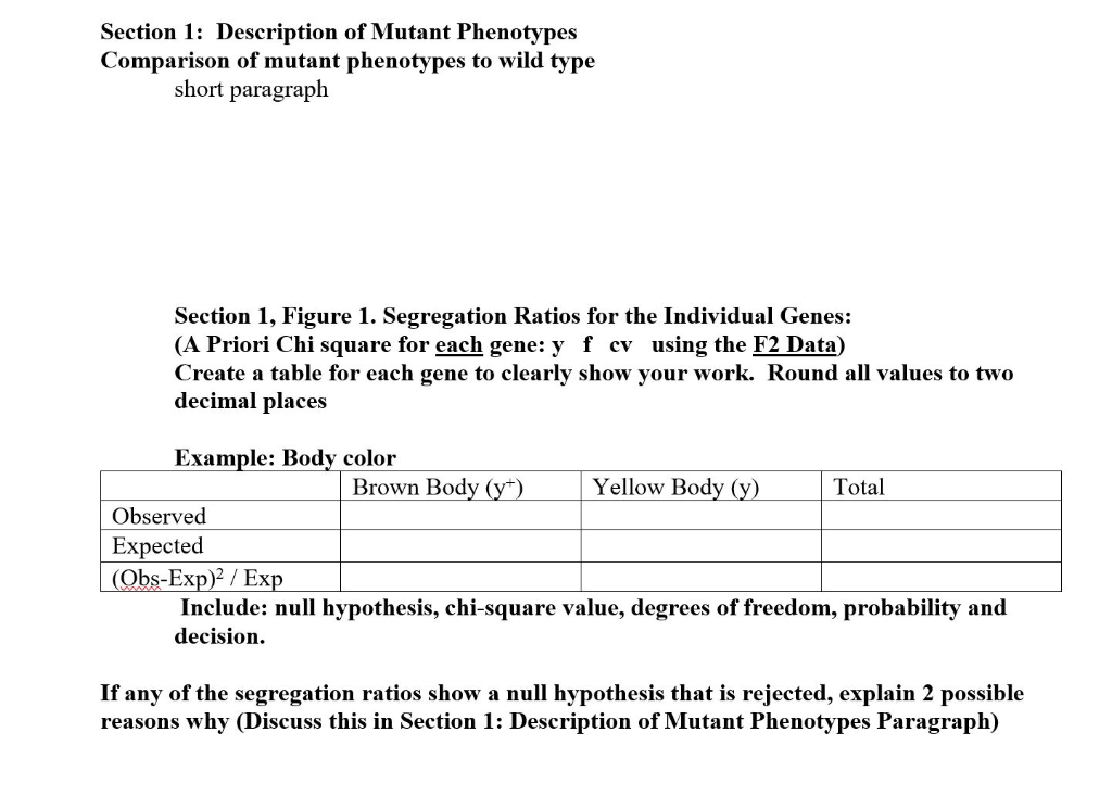 Solved Section 1: Description of Mutant Phenotypes | Chegg.com