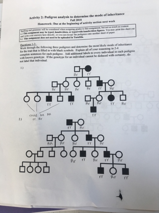Solved Activity 2: Pedigree analysis to determine the mode | Chegg.com
