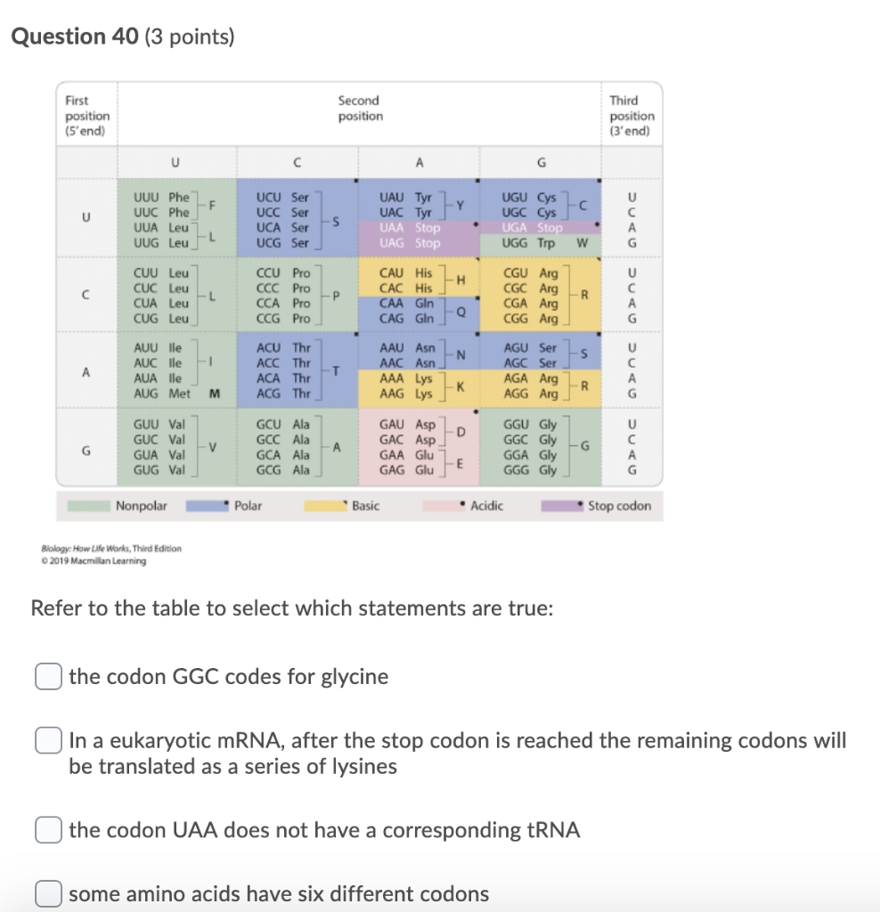 Solved Question 40 (3 points) First Third position (5'end) | Chegg.com
