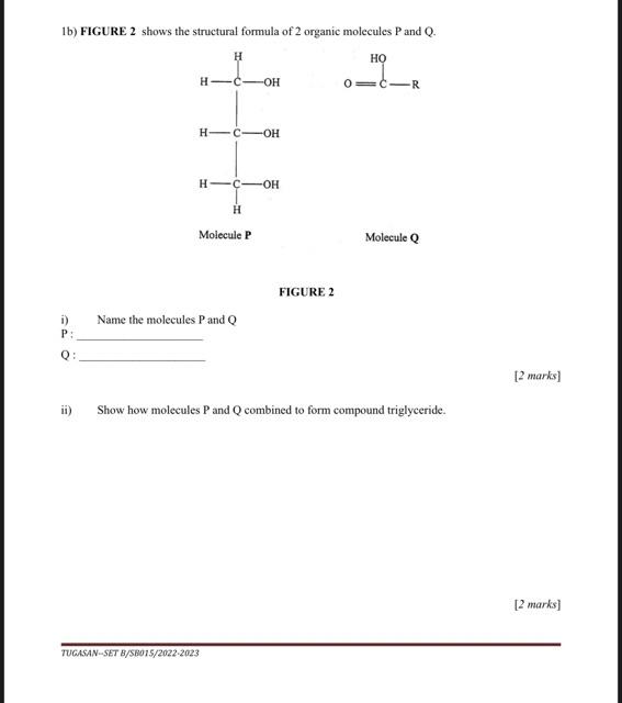 Solved 1b) FIGURE 2 shows the structural formula of 2 | Chegg.com