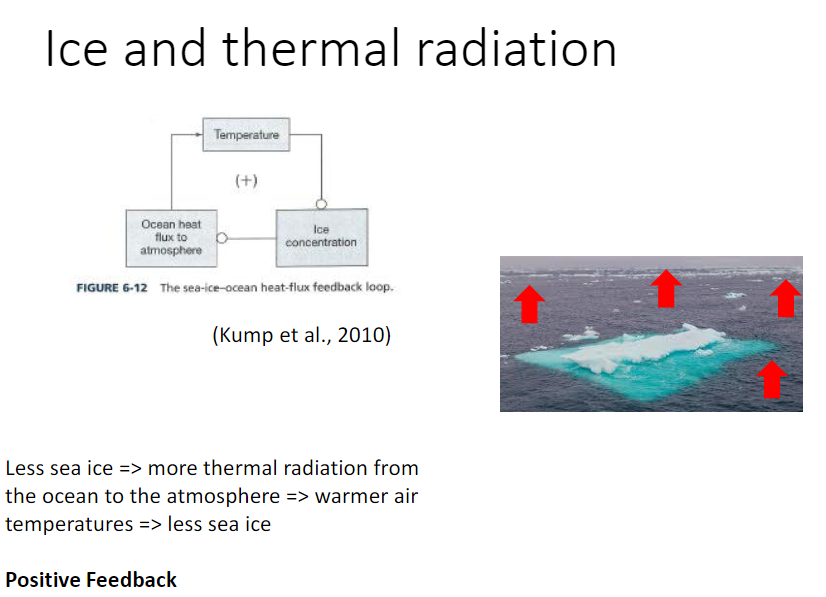 Solved Write a report about the ice in climate. Must talk | Chegg.com