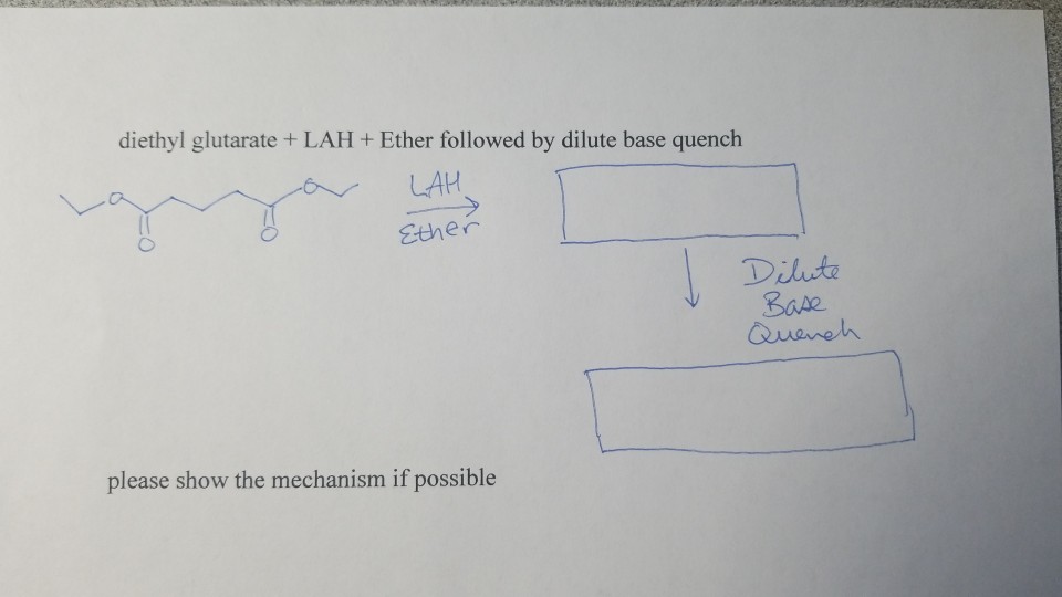 Solved diethyl glutarate +LAH + Ether followed by dilute | Chegg.com