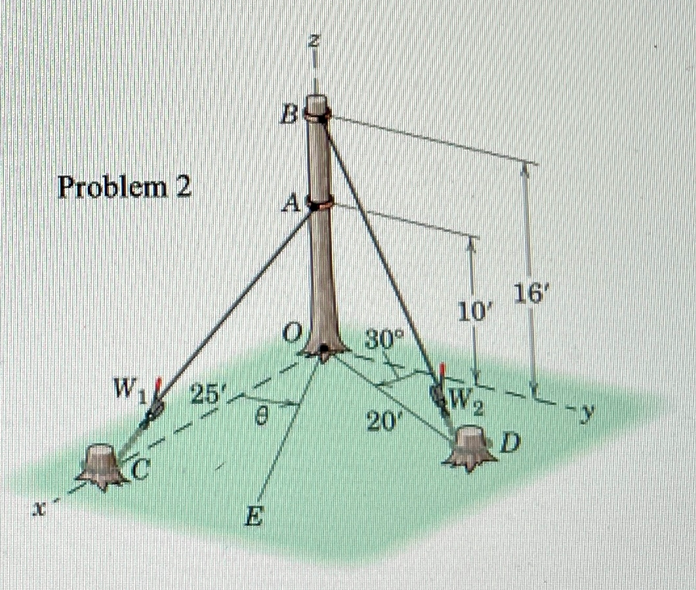 Solved 2. The 800−lb tree trunk is known to have insect | Chegg.com