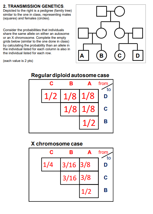 Solved TRANSMISSION GENETICS.Depicted to the right is a | Chegg.com