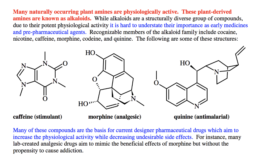 Solved I mentioned in the section under alkaloids that | Chegg.com