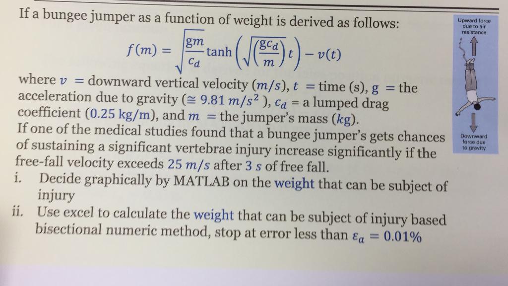 Solved If a bungee jumper as a function of weight is derived | Chegg.com