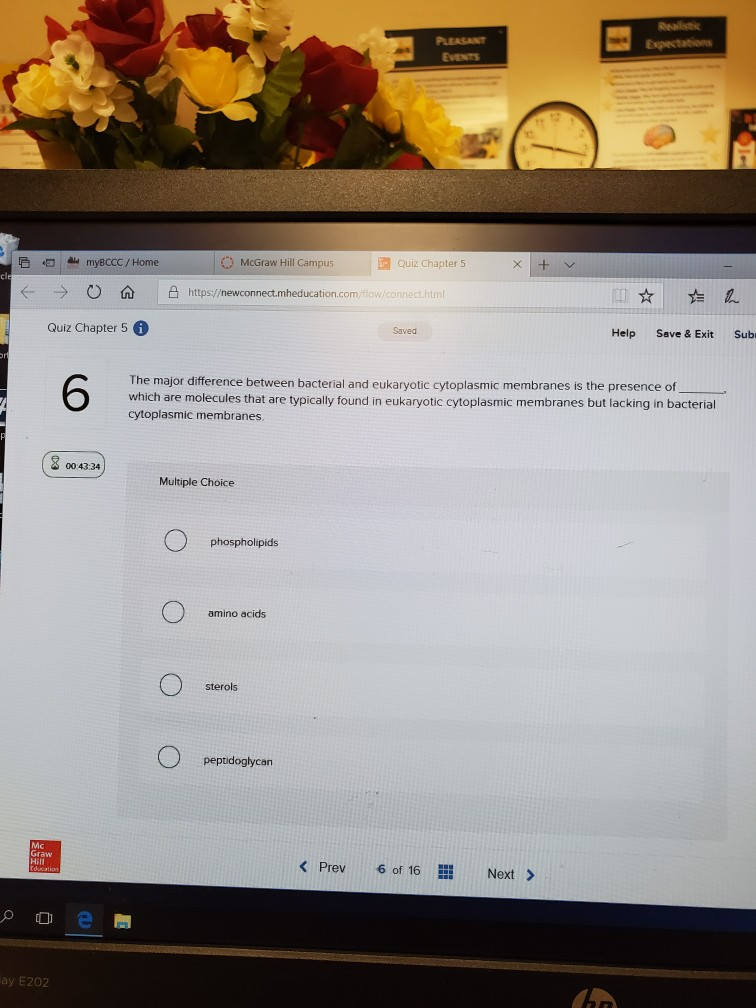 Solved EVENTS myBCCC / Home McGraw Hill Campus Quiz Chapter | Chegg.com