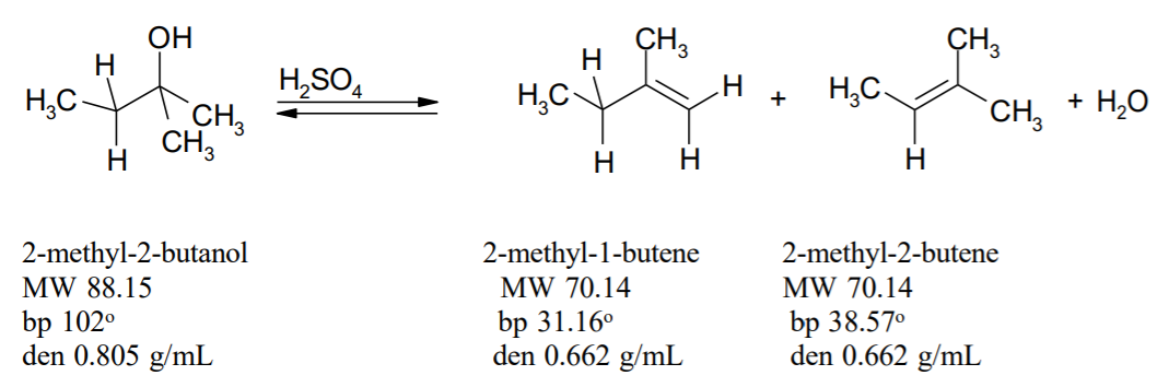Solved 1. Answer the following regarding dehydration of an | Chegg.com
