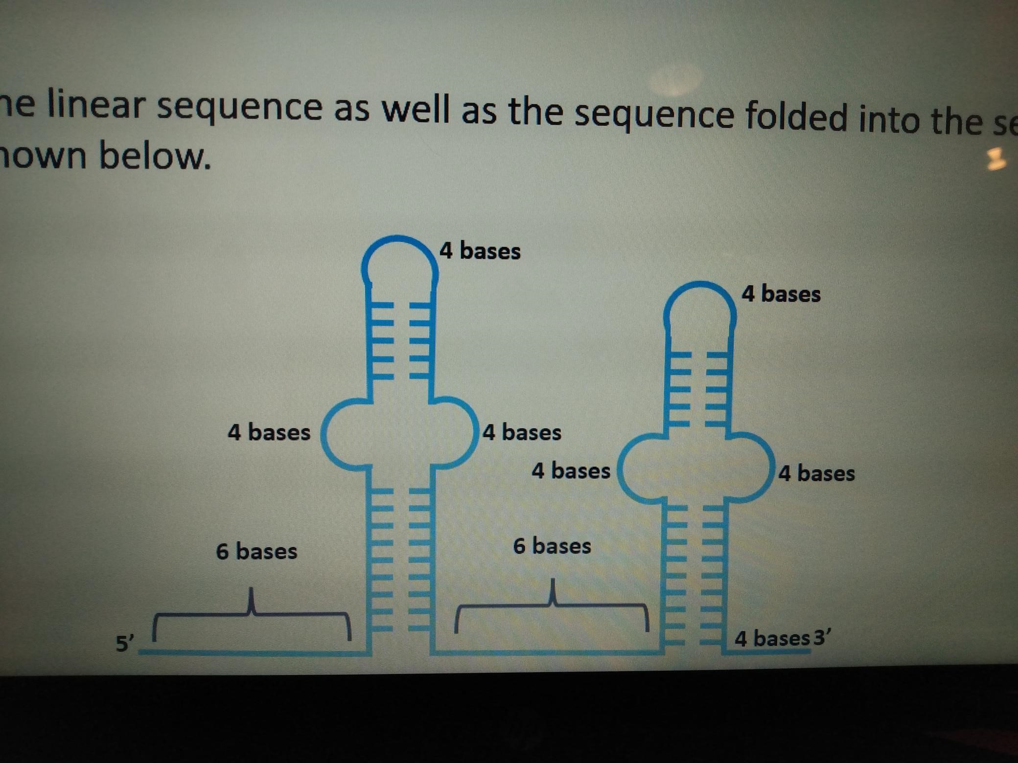 Solved Write out a linear DNA sequence that could make this | Chegg.com