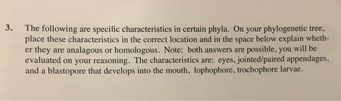 Solved 1 Parazoa Asymmetrical Radial Symmetry Diploblastic | Chegg.com