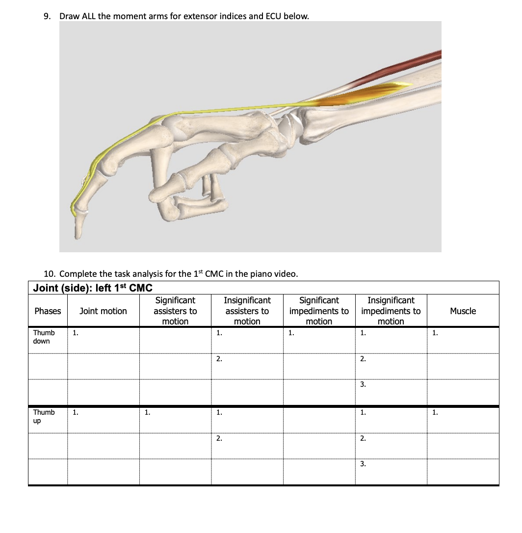 Solved Draw ALL the moment arms for extensor indices and ECU | Chegg.com