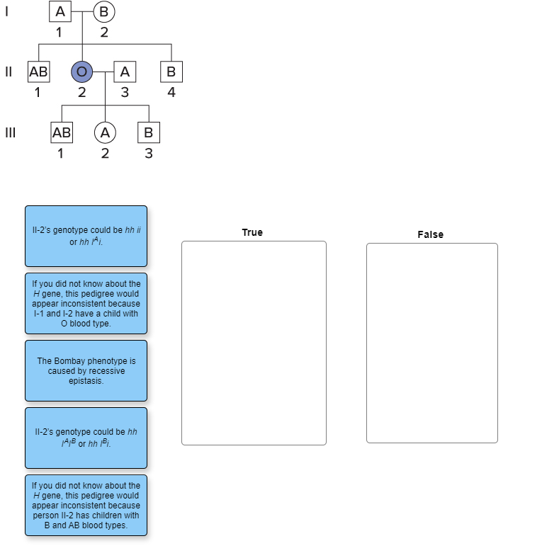 Solved In addition to the three common alleles of gene | Chegg.com