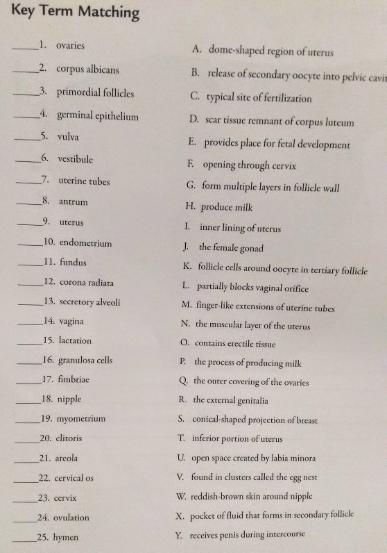 Solved Key Term Matching. Match each lettered definition to | Chegg.com