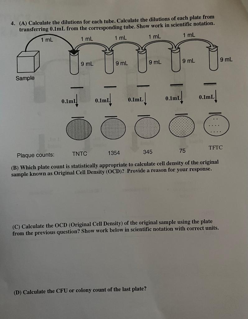 Solved 4 A Calculate The Dilutions For Each Tube