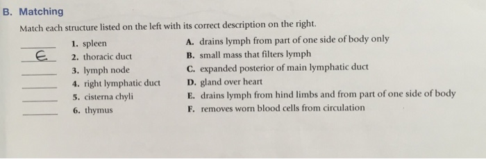 Solved B. Matching Match each structure listed on the left | Chegg.com