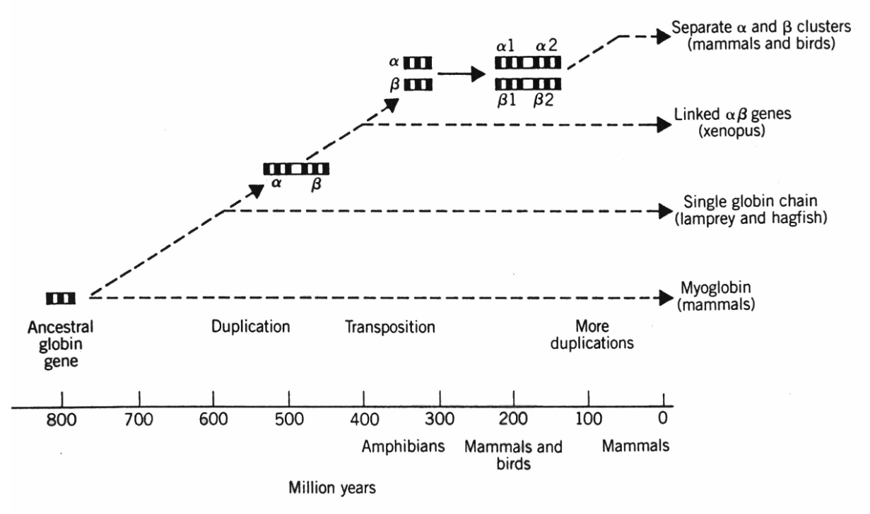 Solved given the task of writing a caption for the below | Chegg.com