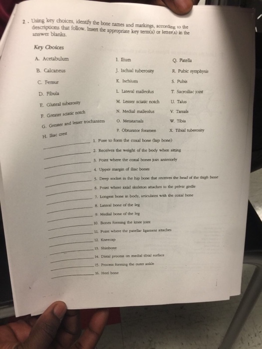 Solved 2. Using key choices, identify the bone names and | Chegg.com