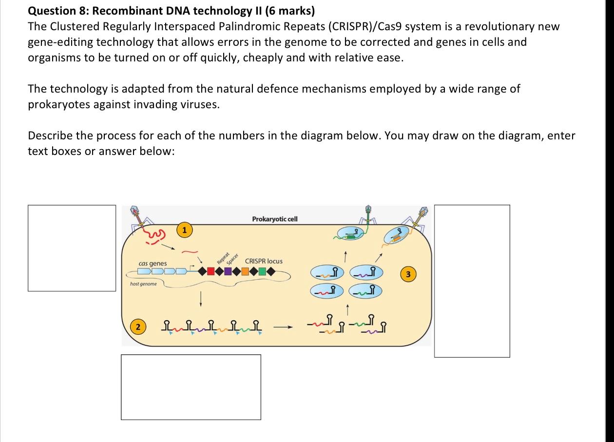 Solved Question 8: Recombinant DNA technology II (6 marks) | Chegg.com