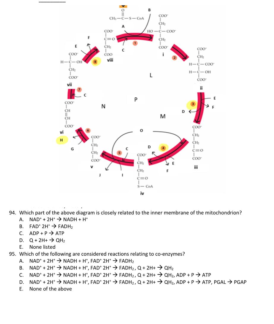 Solved CH3-C-S-COA roo CH COO HO-C-COO CEO CH E COO СОО" COO | Chegg.com