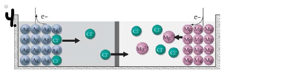Solved Write the net reaction, include any charges and all | Chegg.com