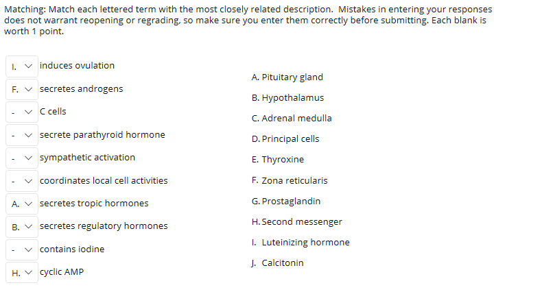 Solved Matching: Match each lettered term with the most | Chegg.com