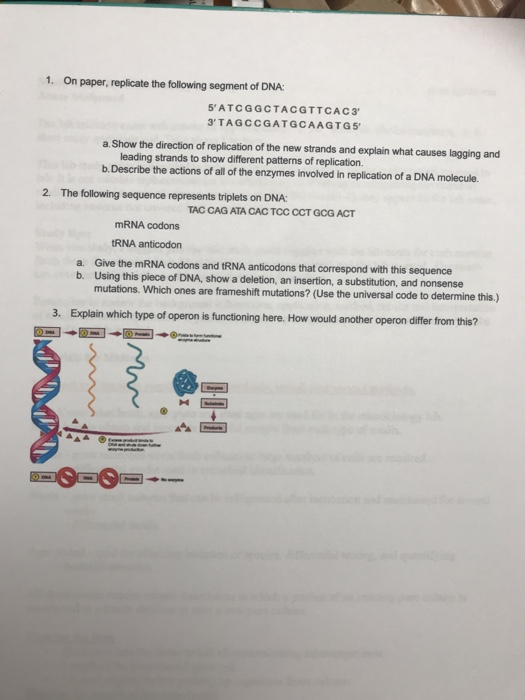 Solved 1. On paper, replicate the following segment of DNA | Chegg.com Solved 1. On paper, replicate the following segment of DNA | Chegg.com