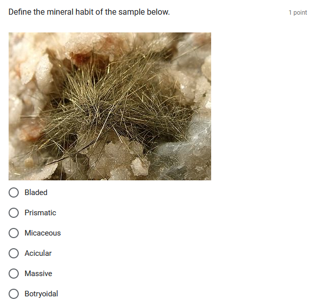Solved Define the mineral habit of the sample below. 1 point | Chegg.com