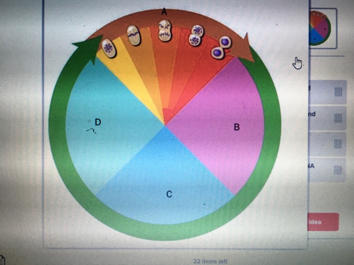 Solved This circle is divided Into lettered quadrants. Each | Chegg.com Solved This circle is divided Into lettered quadrants. Each | Chegg.com
