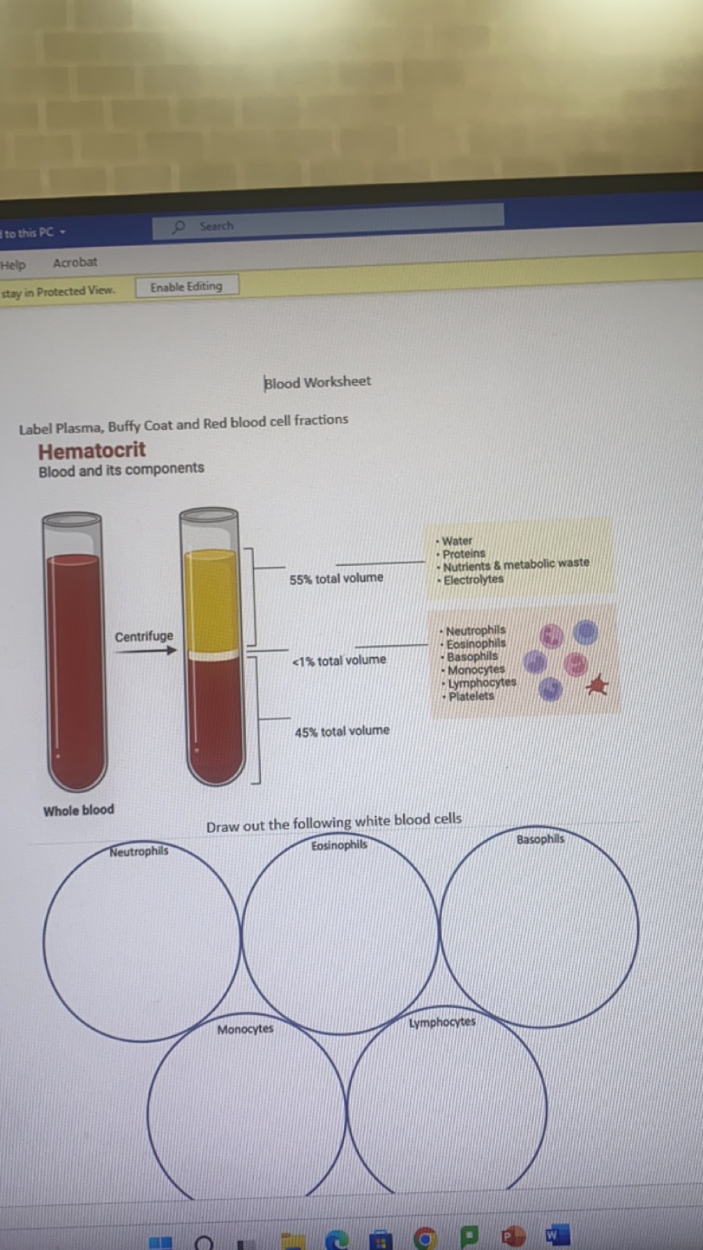 Solved Label Plasma, Buffy Coat and Red blood cell fractions | Chegg.com