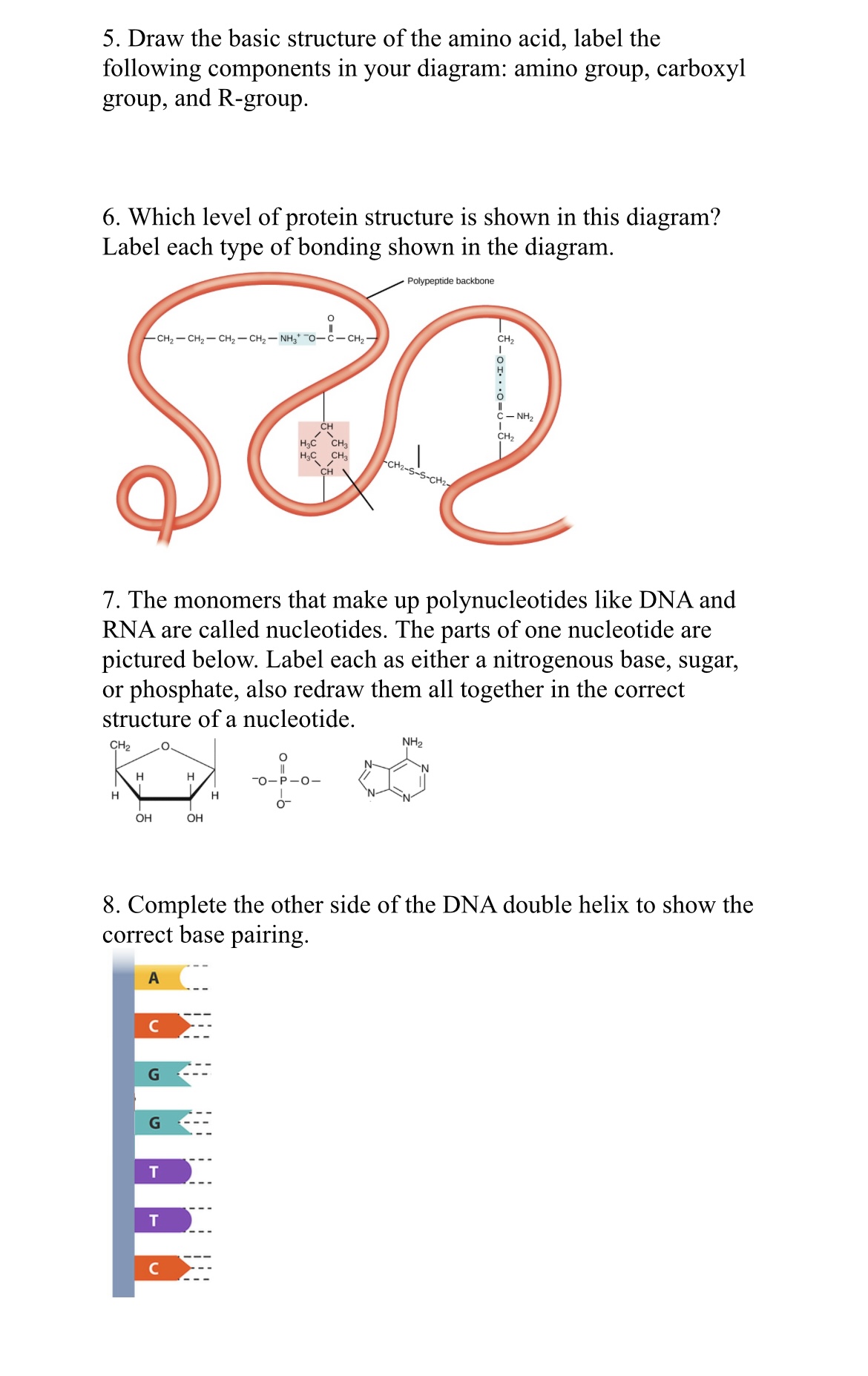 Sugar Molecular Structure