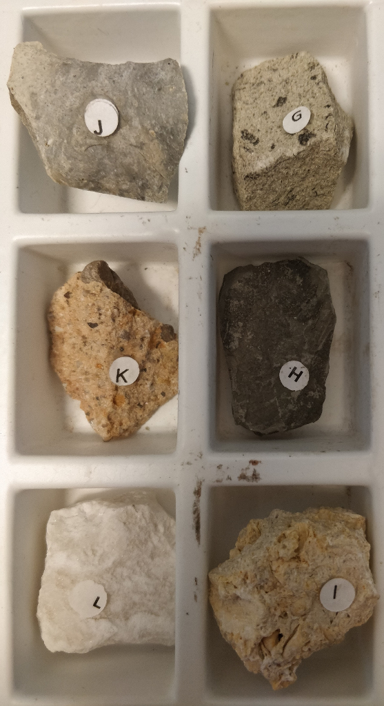 Solved (Earth Science) Sedimentary Rocks Identification | Chegg.com