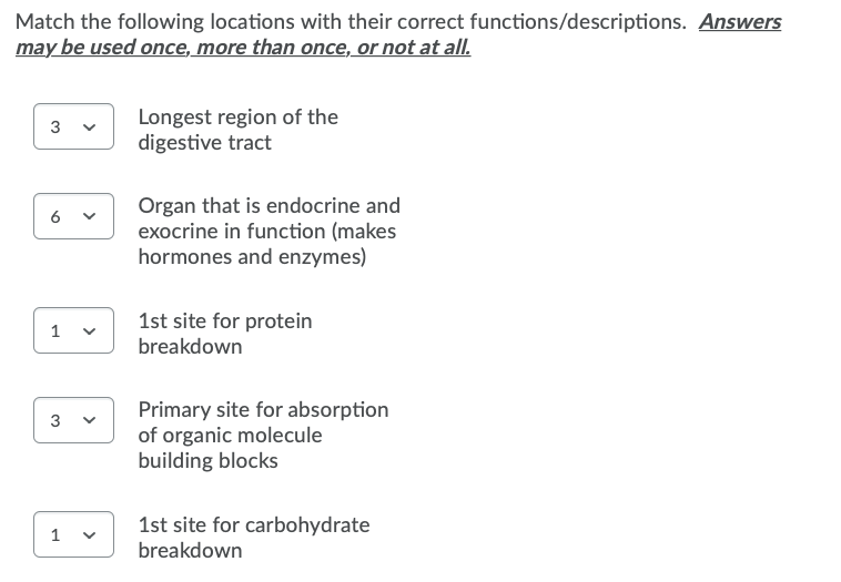 Solved Match the following locations with their correct | Chegg.com