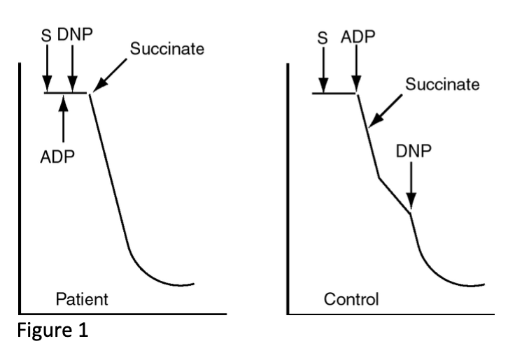 Solved 1) The following graph (Fig. 1) shows the changes of | Chegg.com