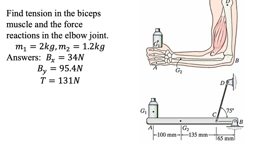 Solved Find tension in the biceps muscle and the force | Chegg.com