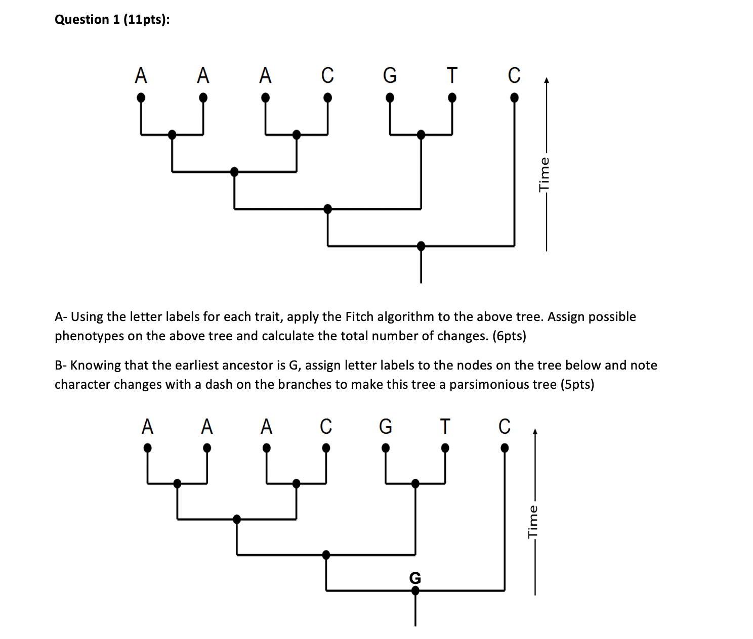 Solved A- Using the letter labels for each trait, apply the | Chegg.com