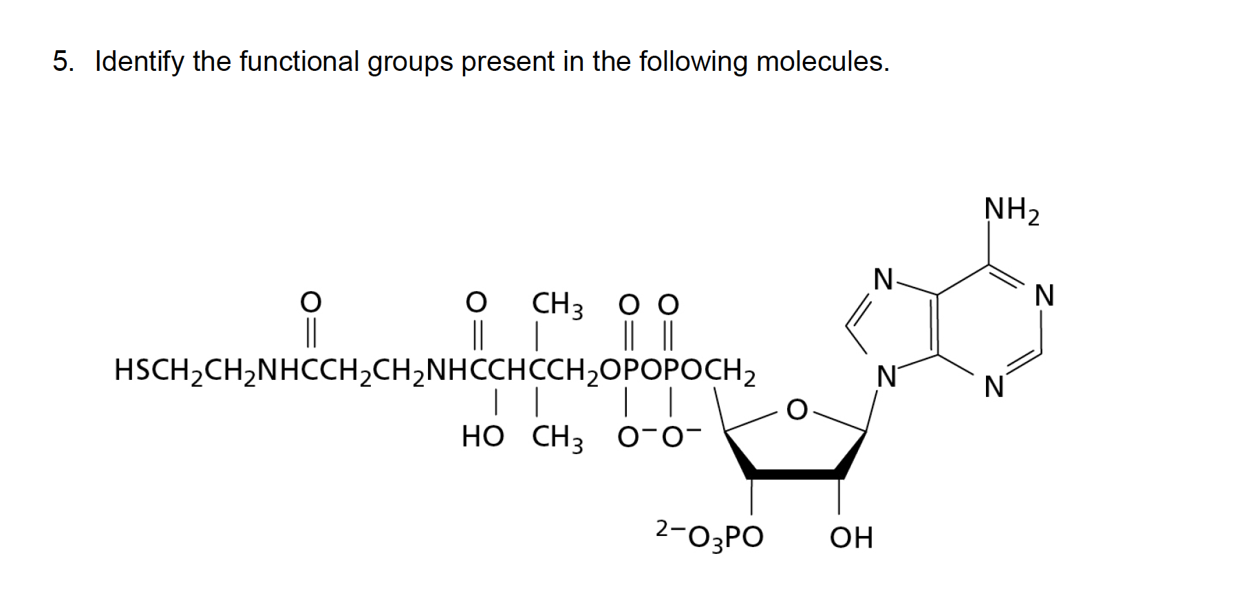 Solved 5. Identify the functional groups present in the | Chegg.com