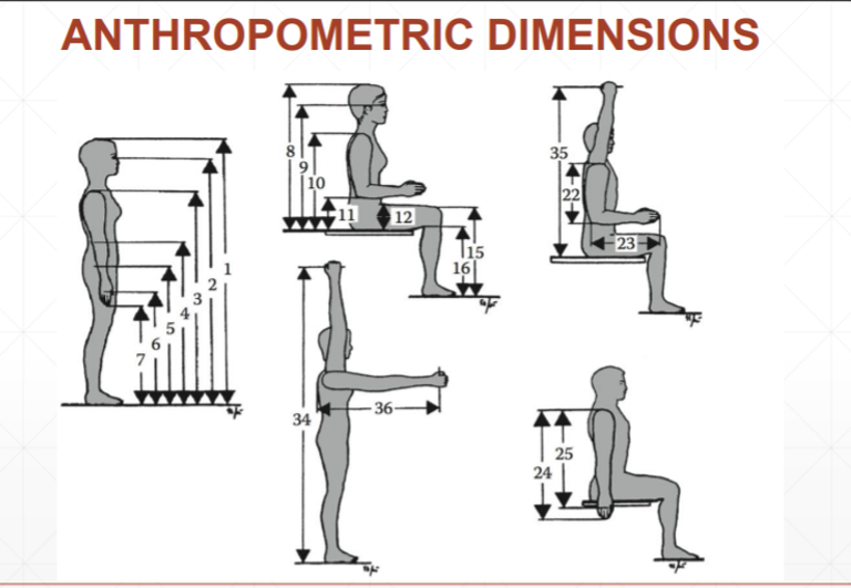 Question 1 (30 points): Anthropometric Design of a | Chegg.com
